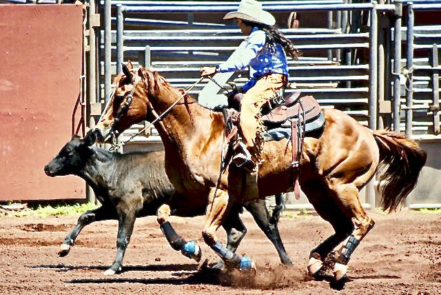 Casera Silva is top rodeo rookie - The Garden Island