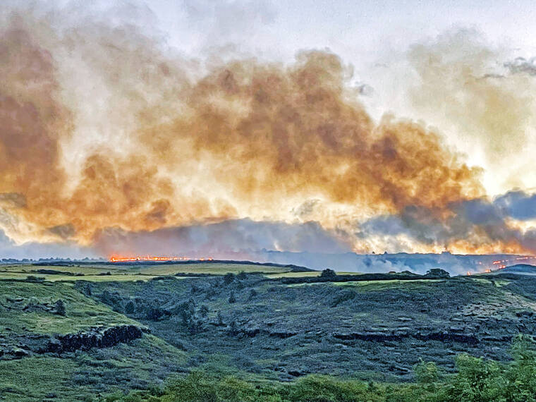 Brush fire burns 300 acres in Koke‘e - The Garden Island